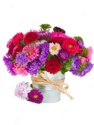 Tabiiy gullar narhlari Toshkentda, Toshkentda Tabiiy gullar sotib olish ...