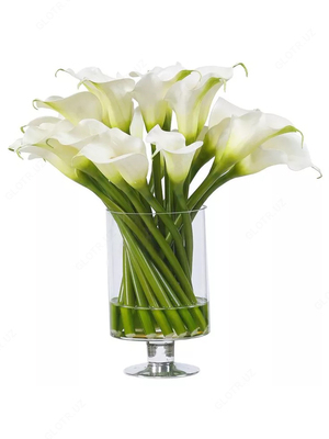 Tabiiy gullar narhlari Toshkentda, Toshkentda Tabiiy gullar sotib olish ...