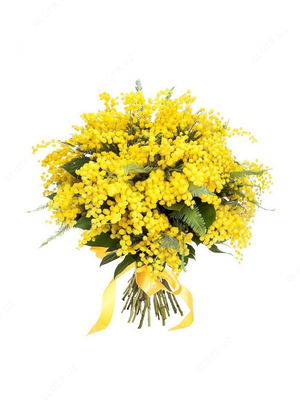 Tabiiy gullar narhlari Toshkentda, Toshkentda Tabiiy gullar sotib olish ...