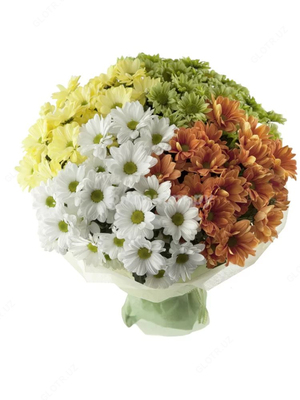 Tabiiy gullar narhlari Toshkentda, Toshkentda Tabiiy gullar sotib olish ...